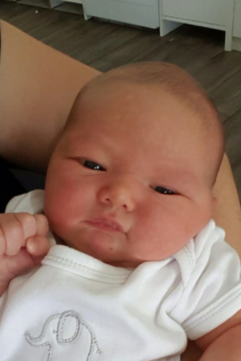 Cyrus Alexander Kneebone – Seventh Day Adventist Reform Movement of ...